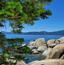 SwimOutlet.com - The Web's Most Popular Swim Shop! Women's Swimwear ...